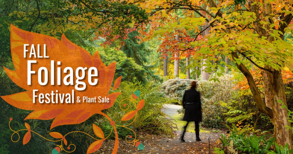 Fall Foliage Festival and Plant Sale | Hardy Fern Foundation
